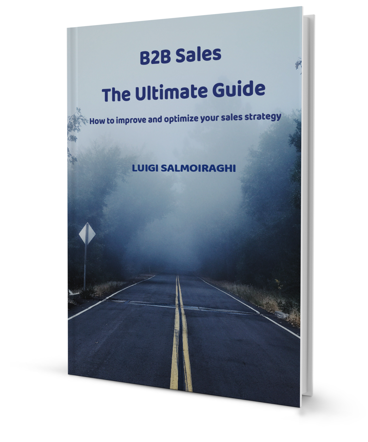 B2B Sales: The Ultimate Guide
